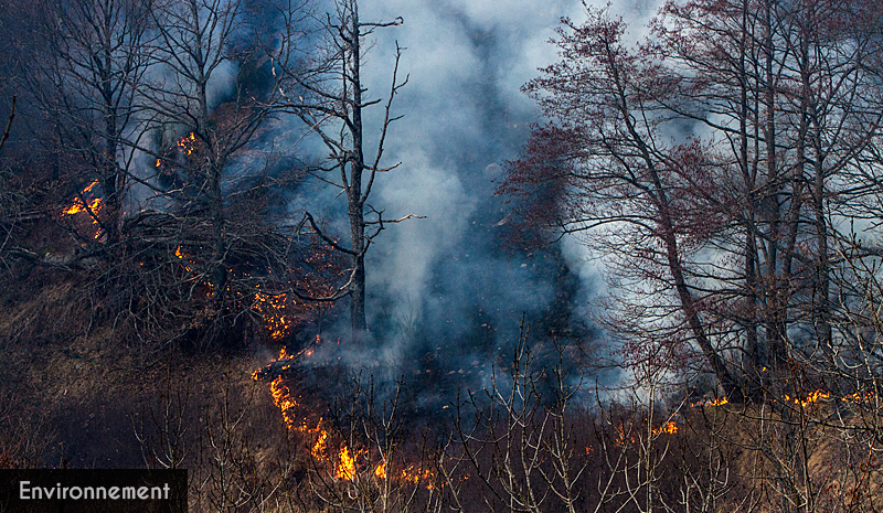 reportage photo environnement – Photographe, filmeur spécialisé sur la ...