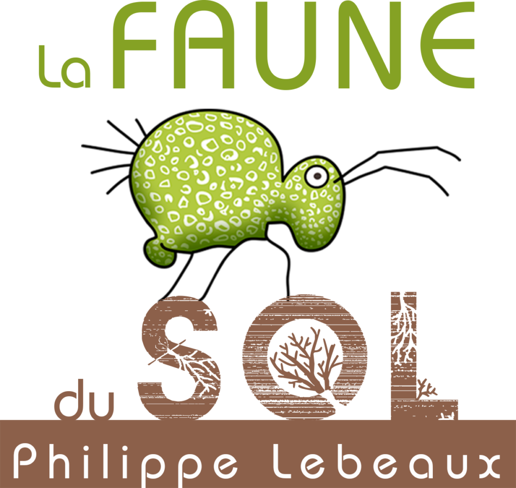 Logo 1000pix La faune du sol – Photographe, filmeur spécialisé sur la biodiversité des sols